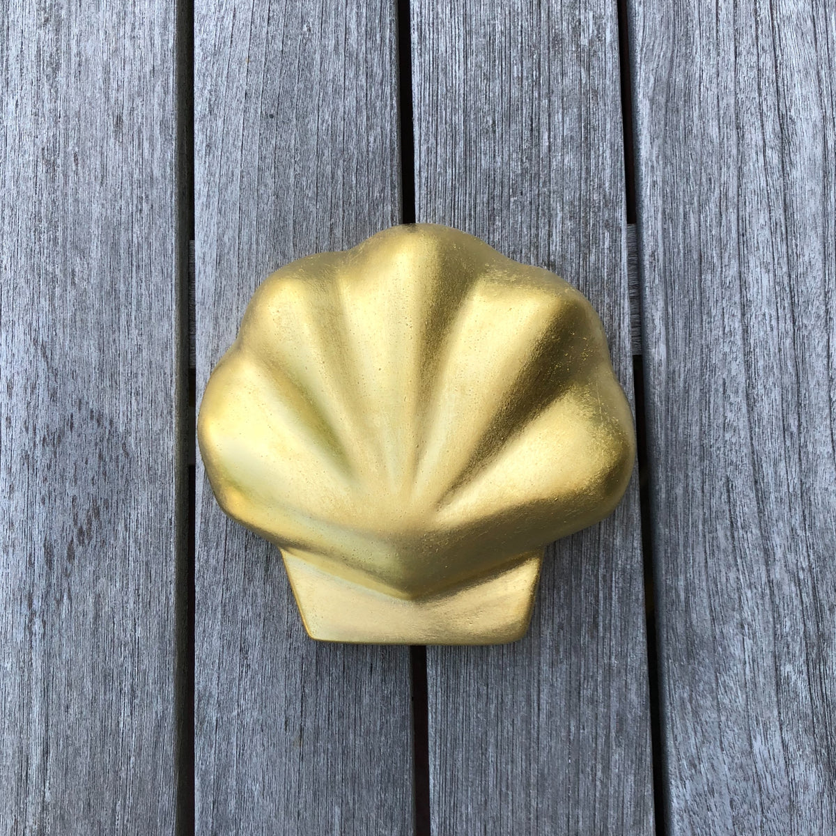 Golden Scallop Shells – Ware Pond Woodworks